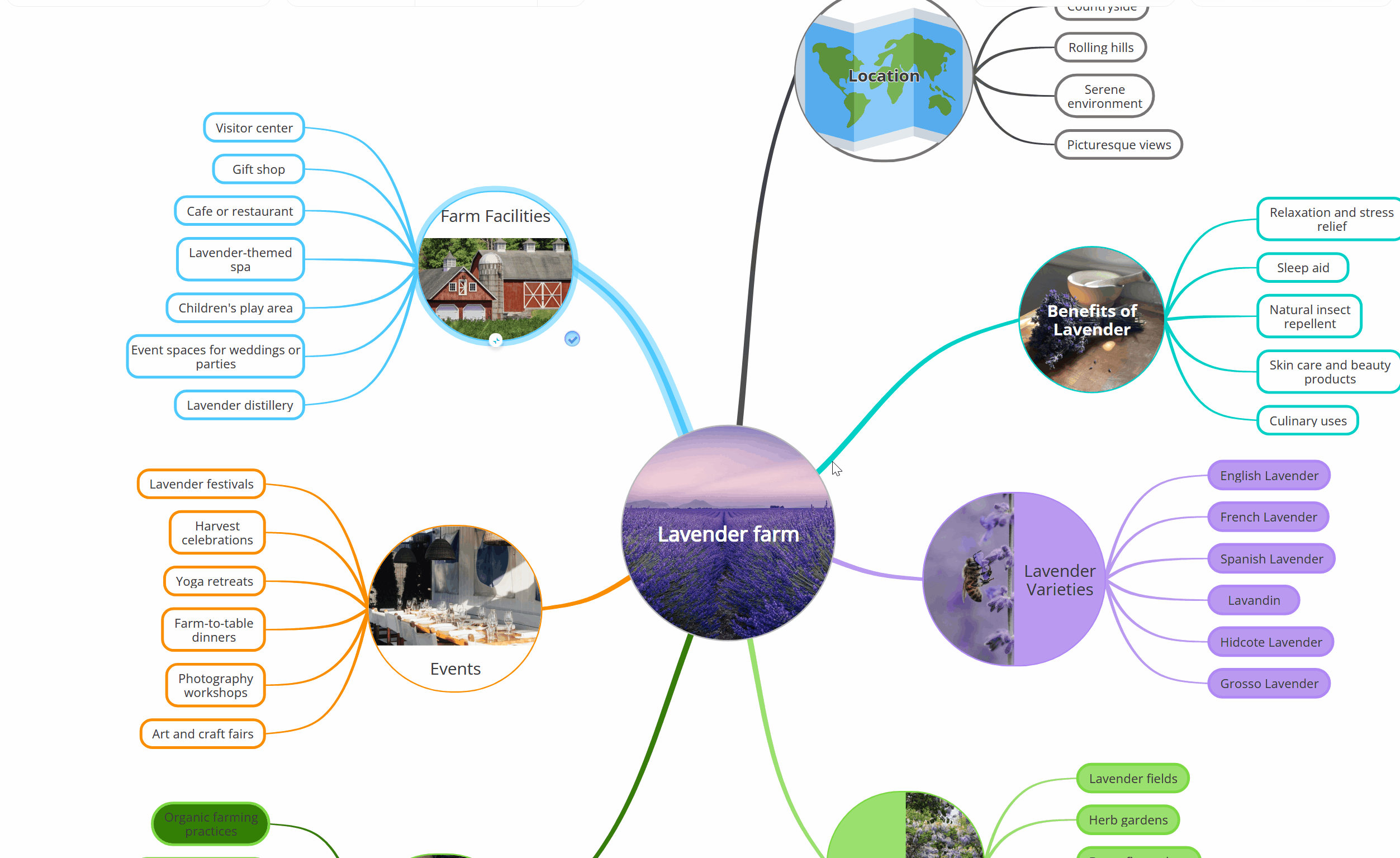 Converting branches into mind maps